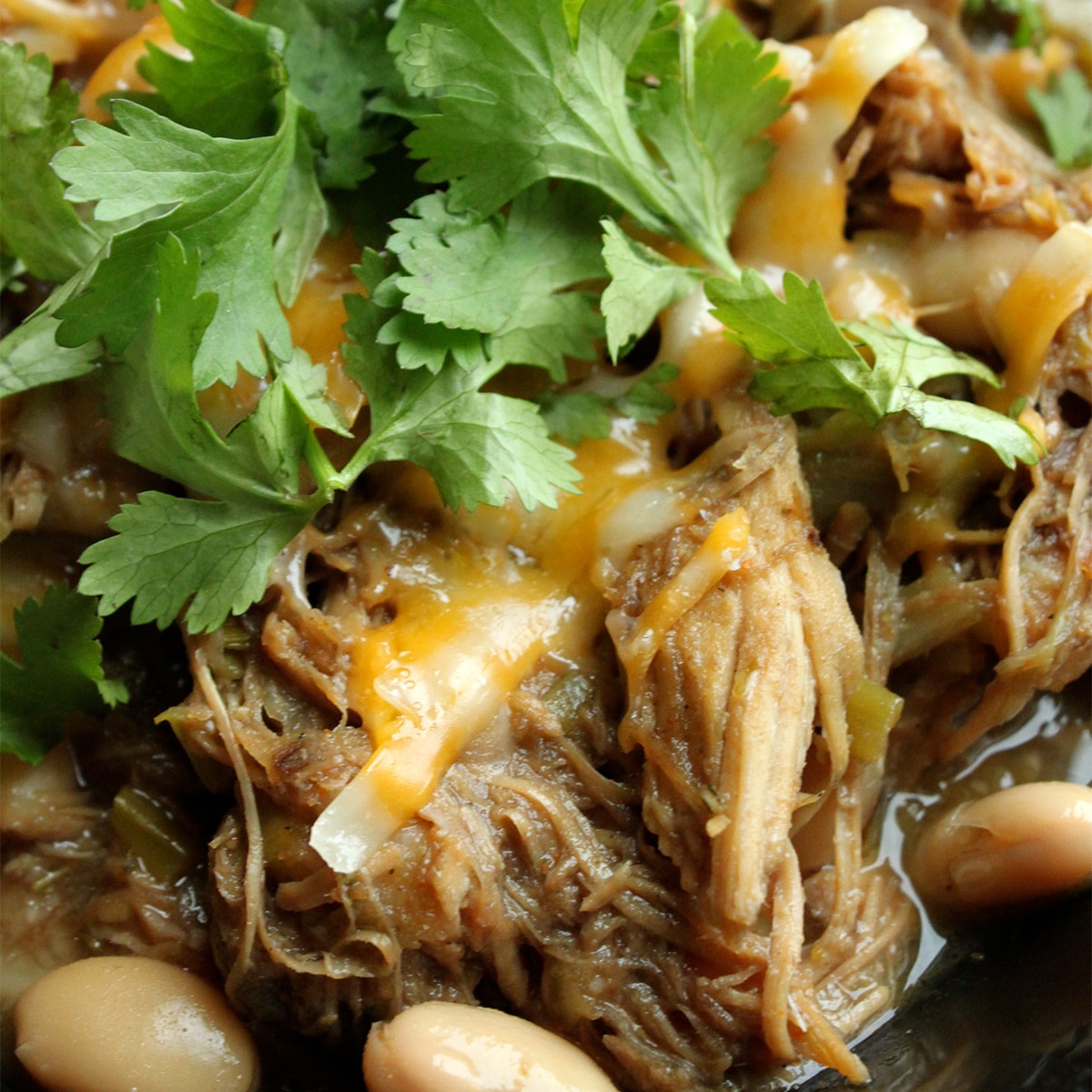 Turkey, Leek and White Bean Stew - GreenLiteBites