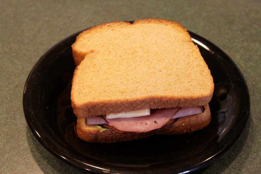 Christmas Inspired Panini - GreenLiteBites
